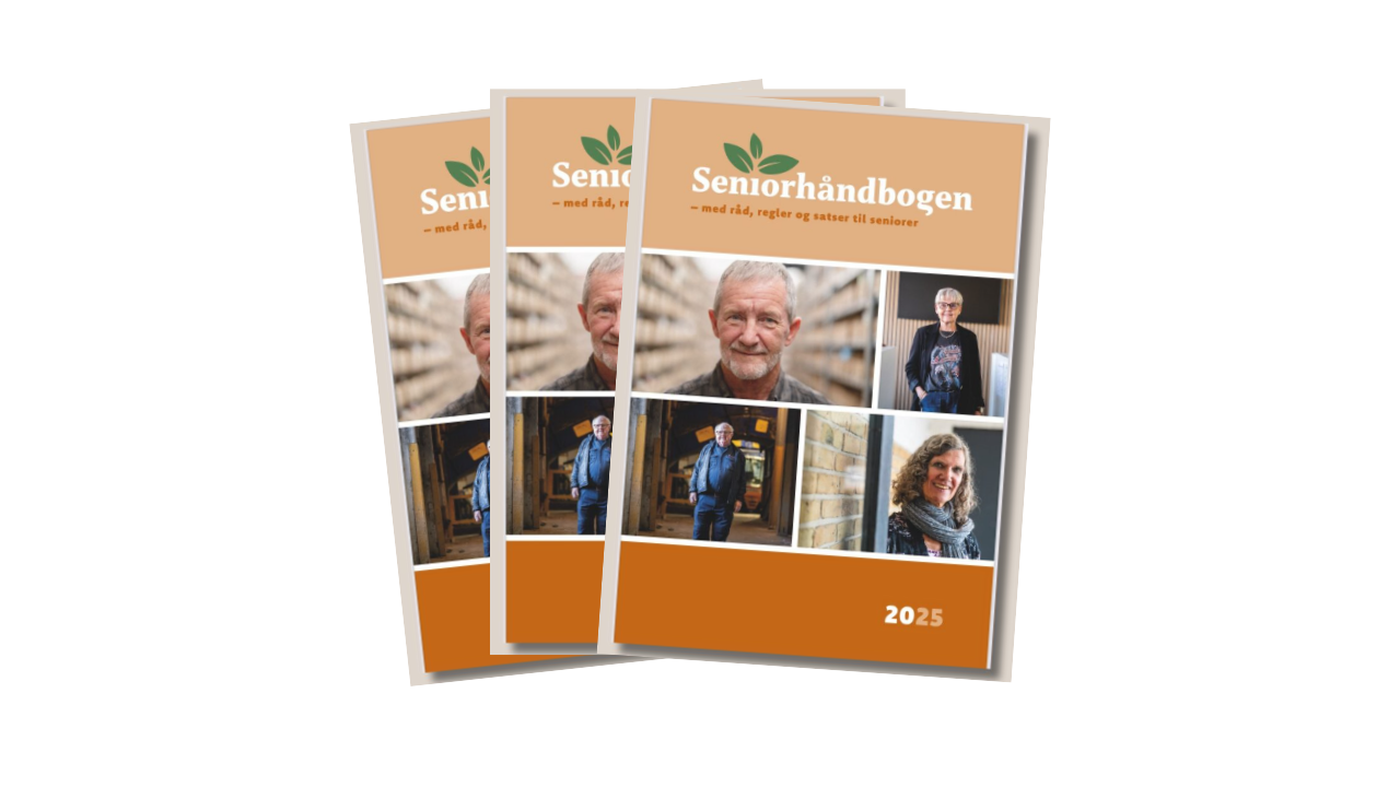Præsentation af Seniorhåndbogen 2025 - 3F