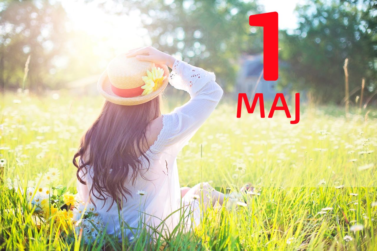 vi fejrer 1. maj med fest på plænen - 3F vi fejrer 1. maj med fest på plænen - 3F